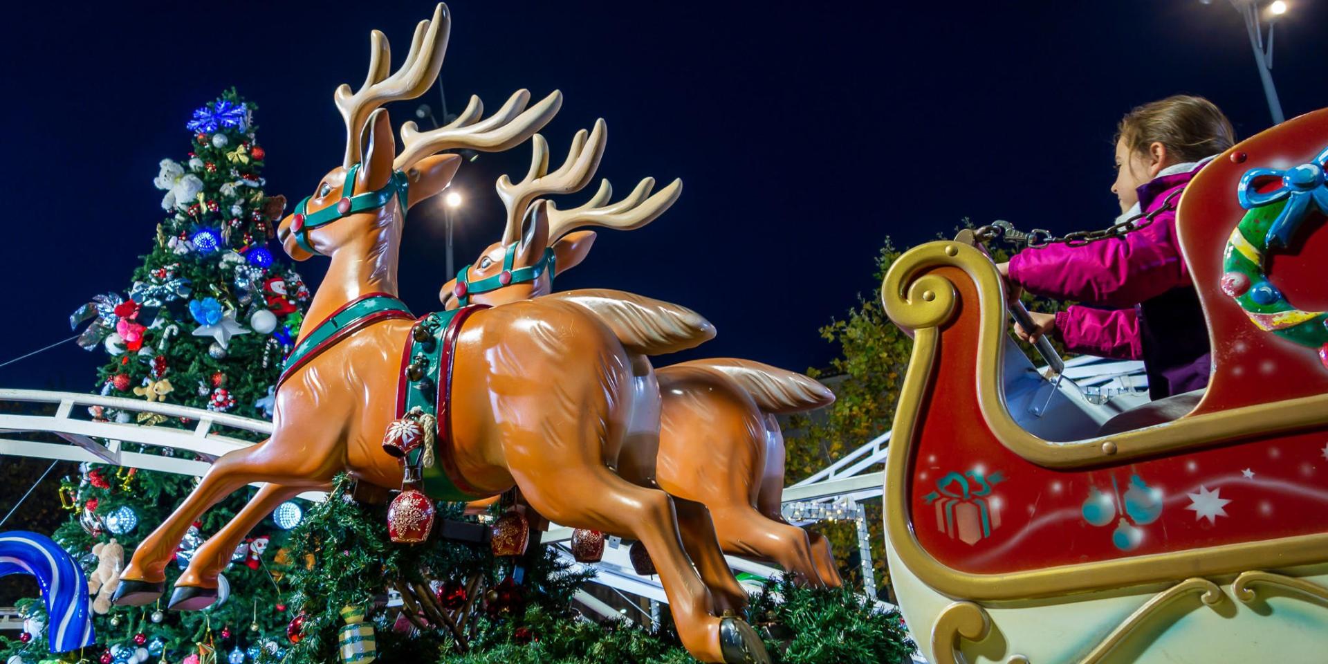 Winter: Christmas in Provence | Avignon Tourisme