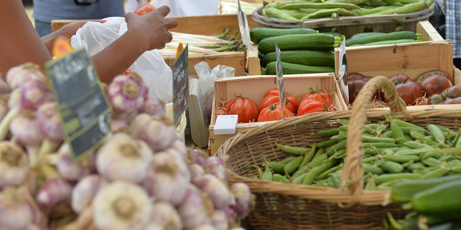Les marchés provençaux | Avignon Tourisme Créateur d'expériences ...